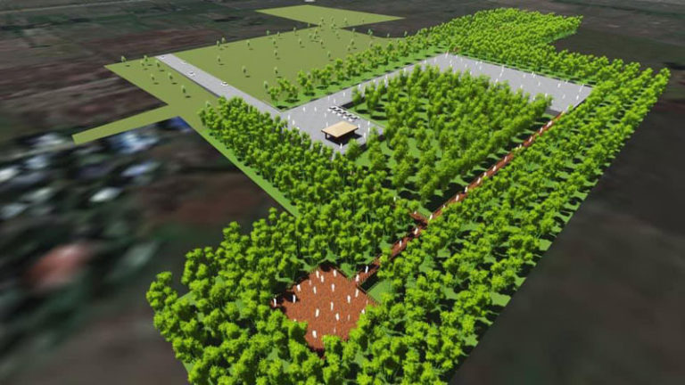 More native trees at Iloilo City Tree Parks