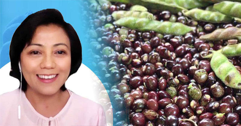 Ilongga scientist develops Kadios as skin antibiotic