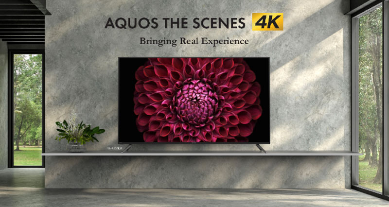 Level up summer entertainment experience with Sharp’s new Aquos 4k ...