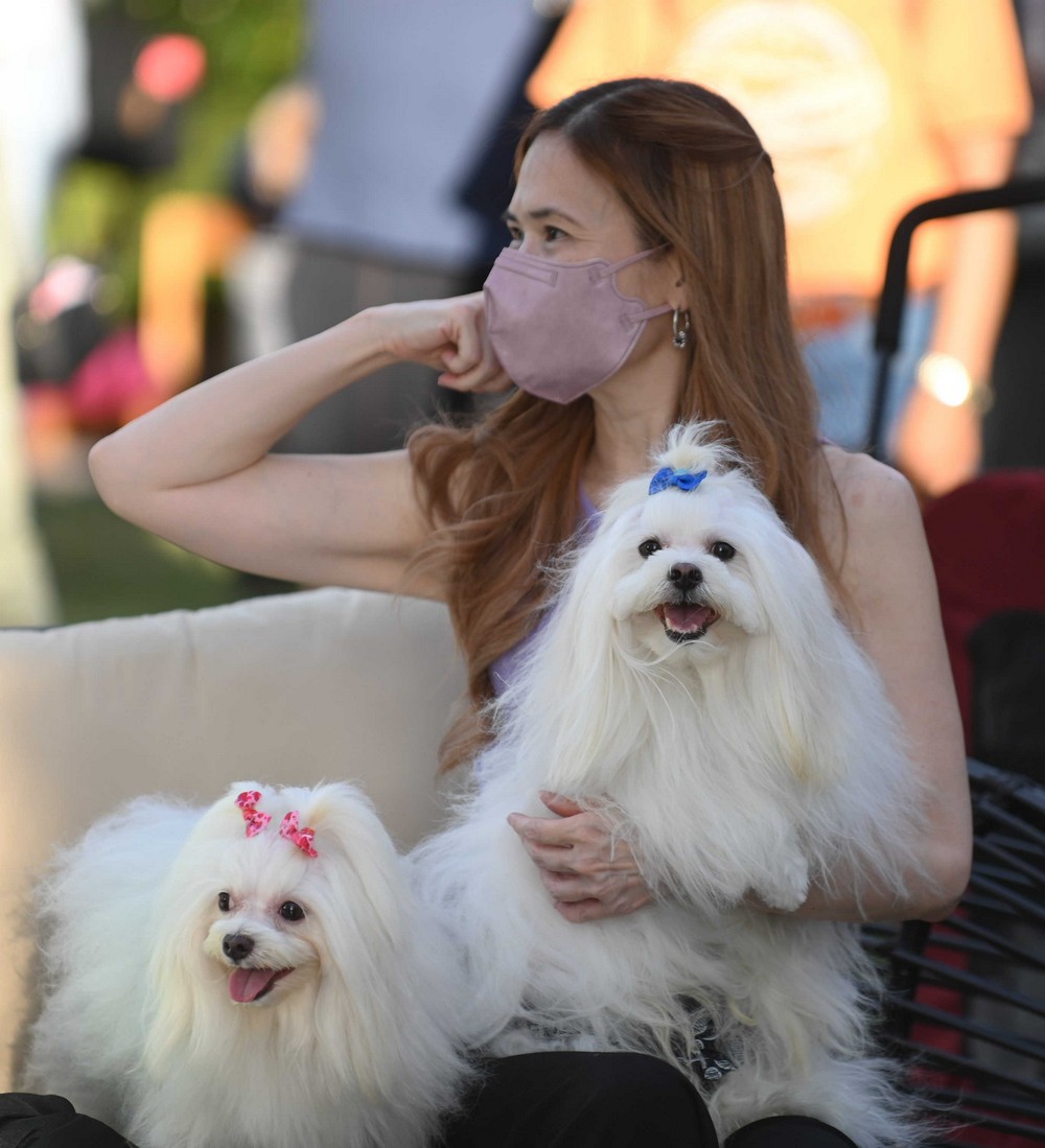 Join the paw-ty at the SM Super Pets Club