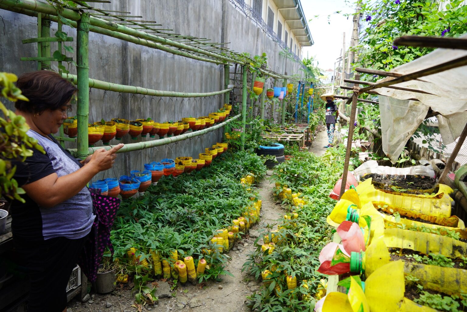 JPT Ediscape promotes sustainable farming in Iloilo City barangays