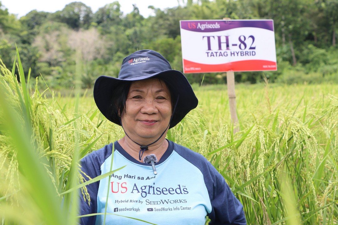 Hybrid rice seeds boost farmer's yield