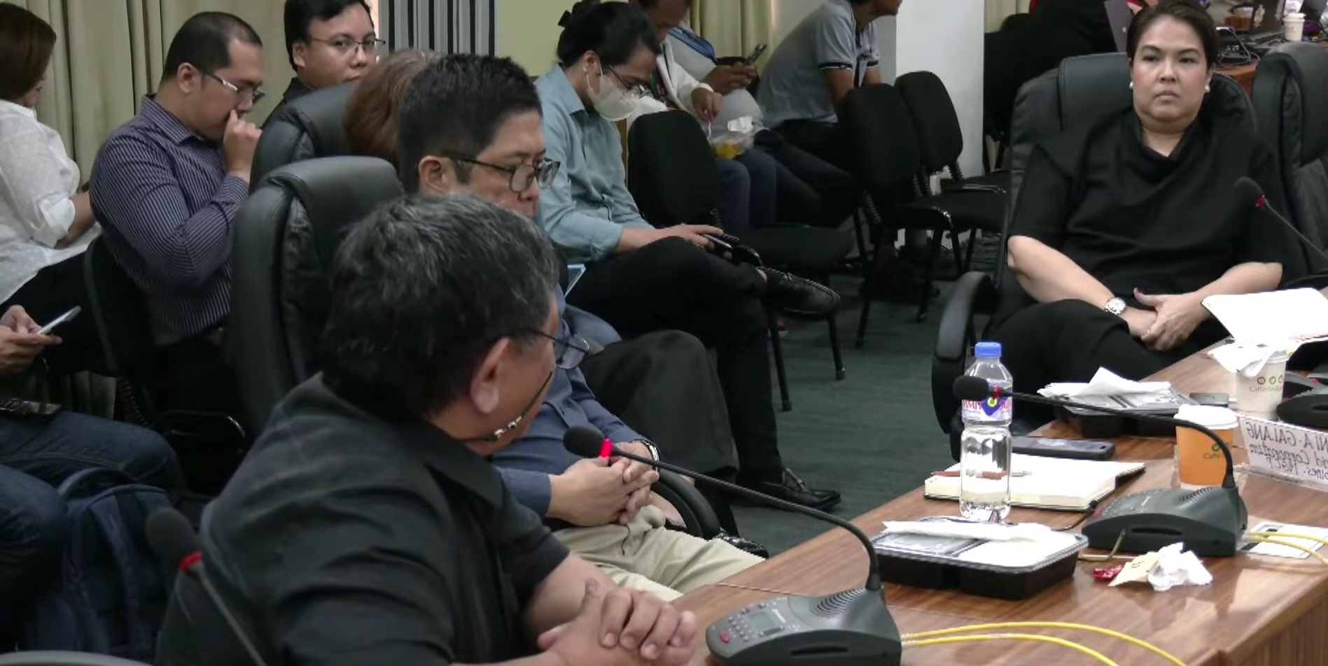 NGCP Assures Congress No Repeat of 2024 Panay Blackout, but MORE Power ...