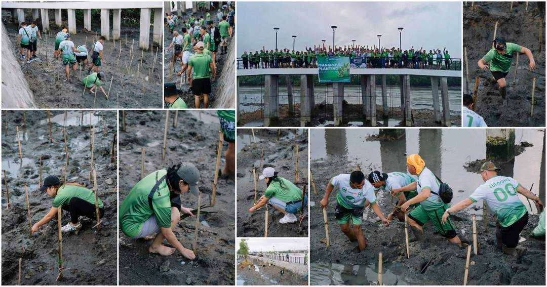 Iloilo City, MORE Power lead mangrove planting at scenic Sunset Boulevard
