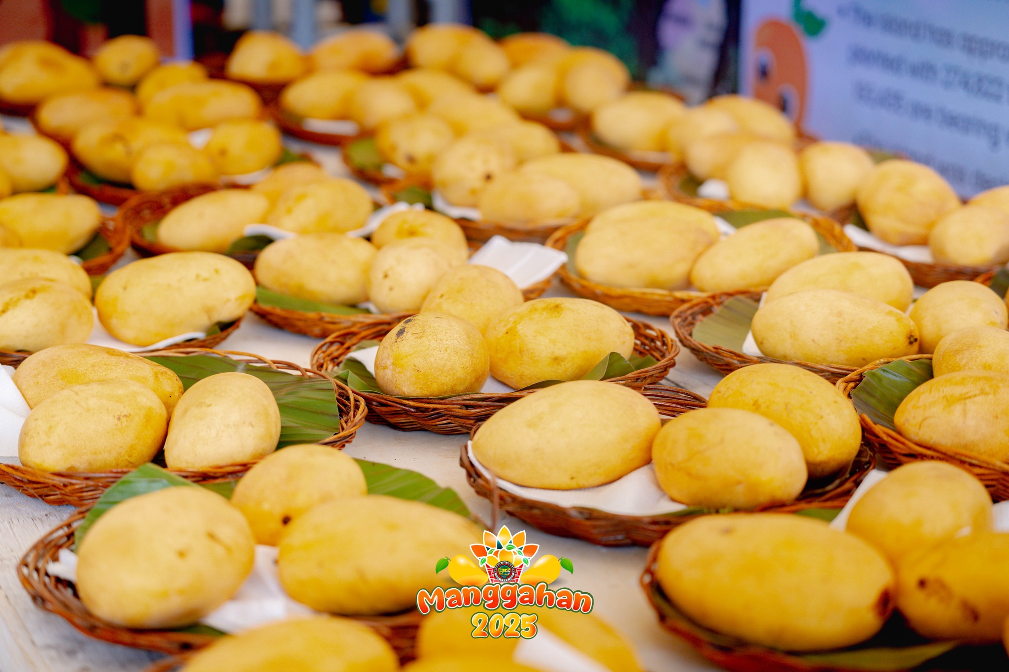 Sweetest Mangoes, Sights and Sounds: Why Manggahan Festival 2025 in ...