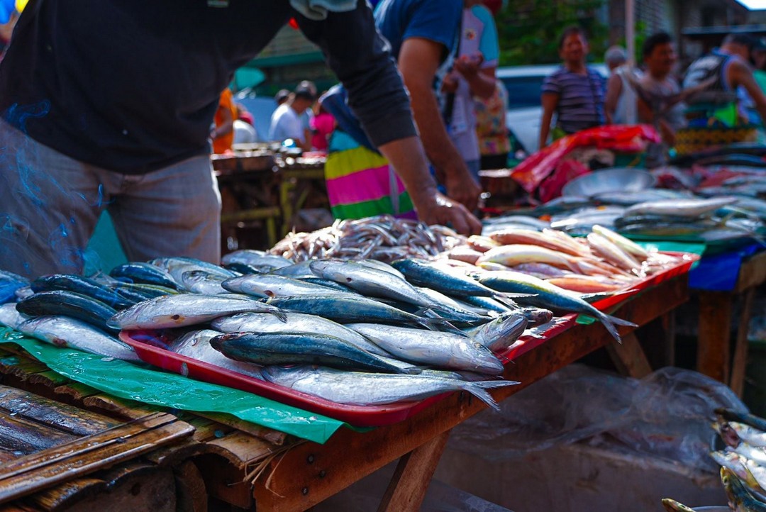 Iloilo Central and Terminal Markets: Blending Tradition with Modern Comfort