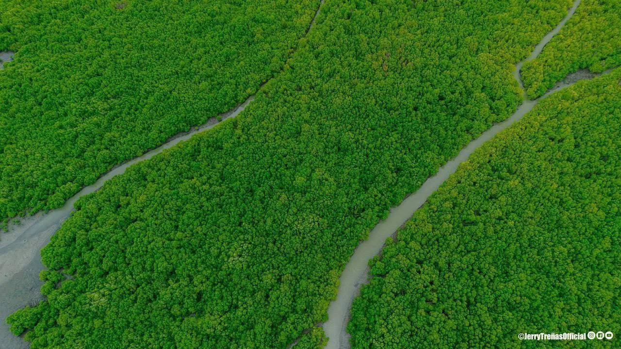 Iloilo City Recognized as Global Role Model for Ecosystem Restoration