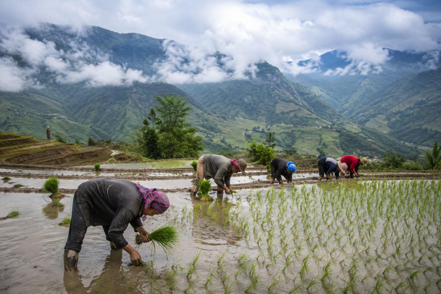 From Fields to Plenary: How Local Producers Are Fighting to Reclaim the ...